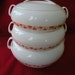 InsoCore Stacking insulated bowls cooking picnic food