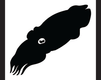 Cuttlefish art | Etsy