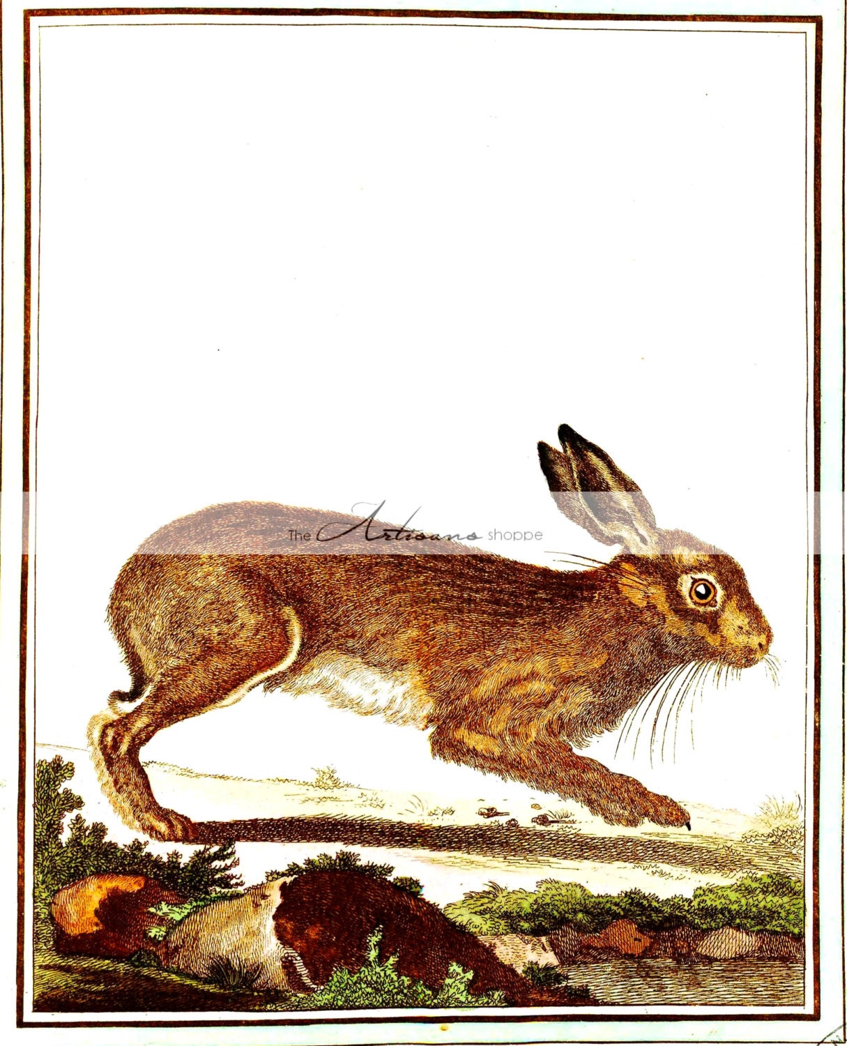 Vintage Hare Rabbit Brown Bunny Woodland Art Digital