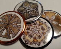Popular items for sea shell mirror on Etsy