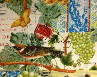 Bird backdrop | Etsy