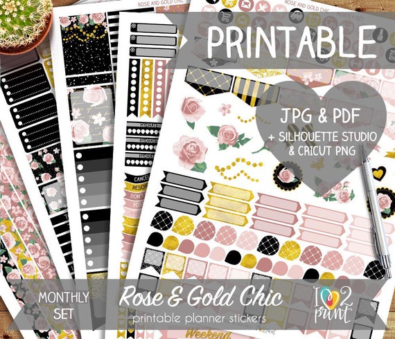 Rose & Gold Chic Printable Planner Stickers Erin Condren