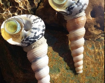 Unique seashell pipe related items | Etsy