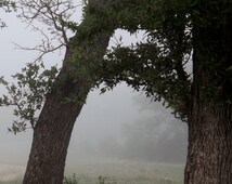 Unique rustic hall tree related items | Etsy