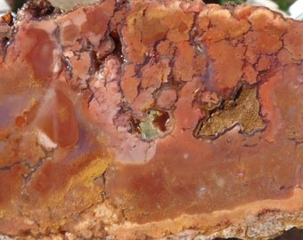 Primo Brenda Red plume Agate rough rock slice by gemrockshop