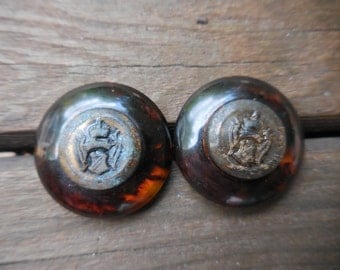 Tortoise shell | Etsy