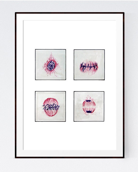 Cell Cycle Biology biology art science science art