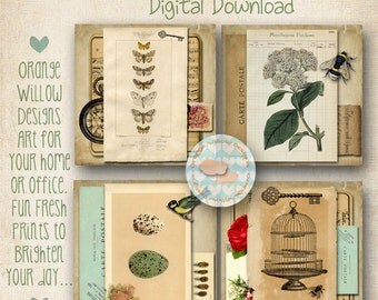 Digital bookplates | Etsy