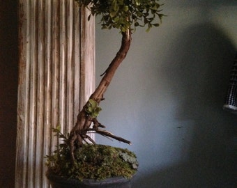 Permanent botanical | Etsy