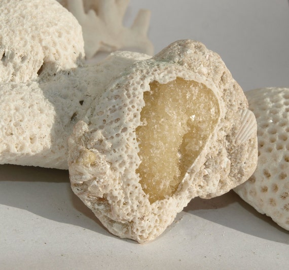 I found a shell mass with crystals growing inside. What might have ...