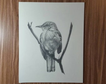 Bird illustration mockingbird | Etsy