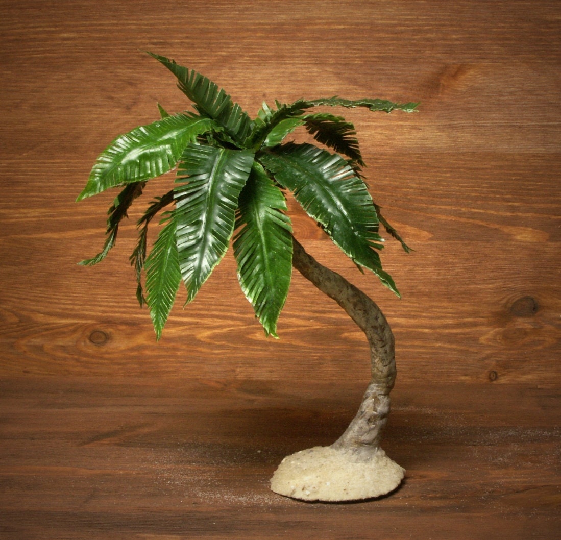 Miniature Palm Tree