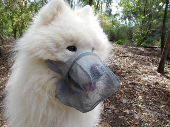Smuzzle: A soft muzzle that lets your dog by SmuzzlesbySilliIlli