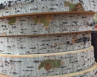 Birch bark paper | Etsy