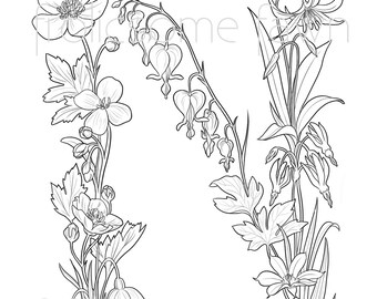 Bleeding heart | Etsy