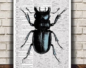 Items similar to Glowworm Female - Insect Lino Block Print - Beetle Art ...