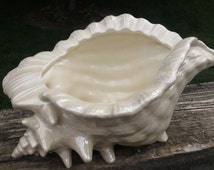 Unique shell planters related items | Etsy