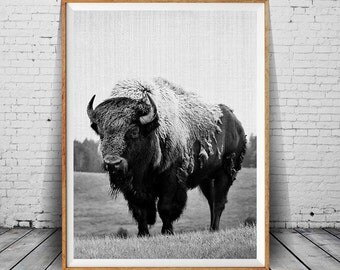 Bison print | Etsy