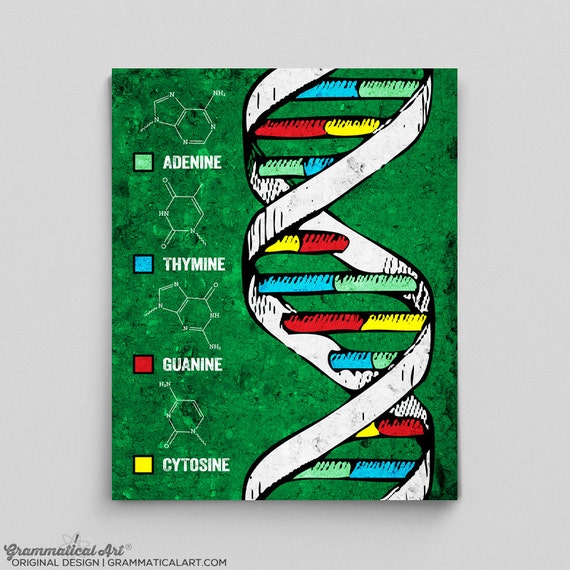 Science Art Print DNA Gifts DNA Poster DNA Print
