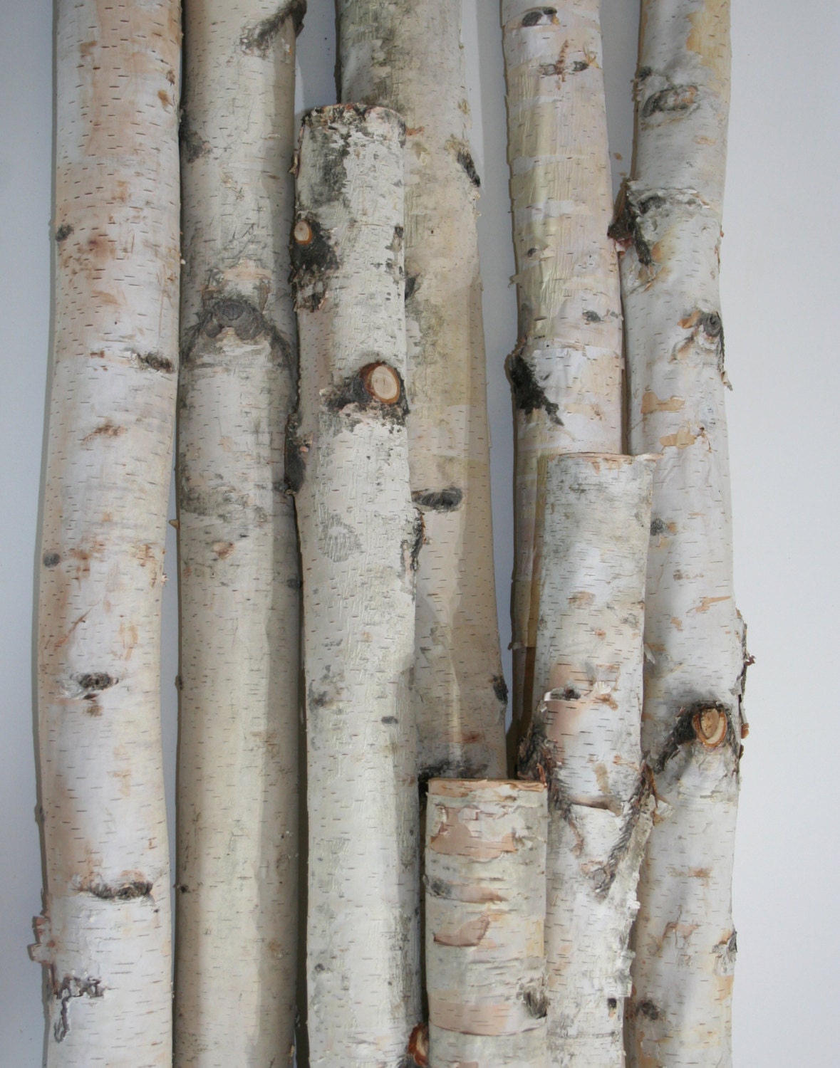 White Birch Pole Packs