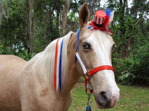 Uncle Sam Patriotic Fascinator Mini Top Hat for Horses or