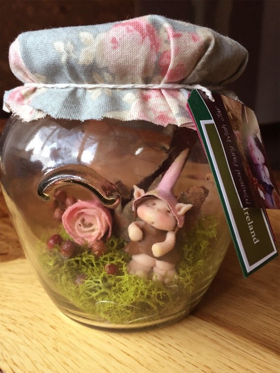 Magical Fairy Wish Jar