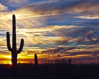 Saguaro painting | Etsy