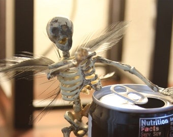 Unique dead fairy related items | Etsy