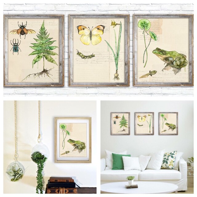 Watercolor Fine Art Prints & Originals by by TheColorfulCatStudio
