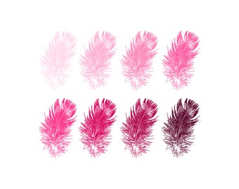 Feather clip art | Etsy