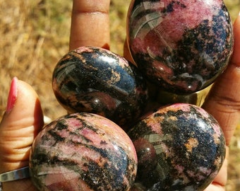 Unique madagascar palm related items | Etsy