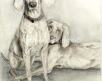 Dog pencil drawing | Etsy