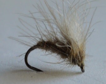 buggy caddis fly fly fishing fishing emerger insects