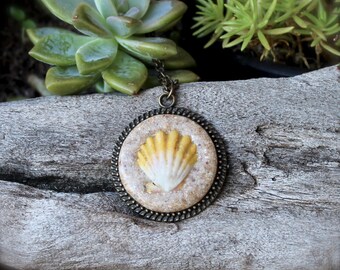 Unique sunrise shell related items | Etsy