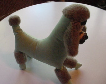 Autograph dog | Etsy