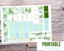 Unique succulent kits related items | Etsy