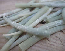 Unique dentalium shells related items | Etsy