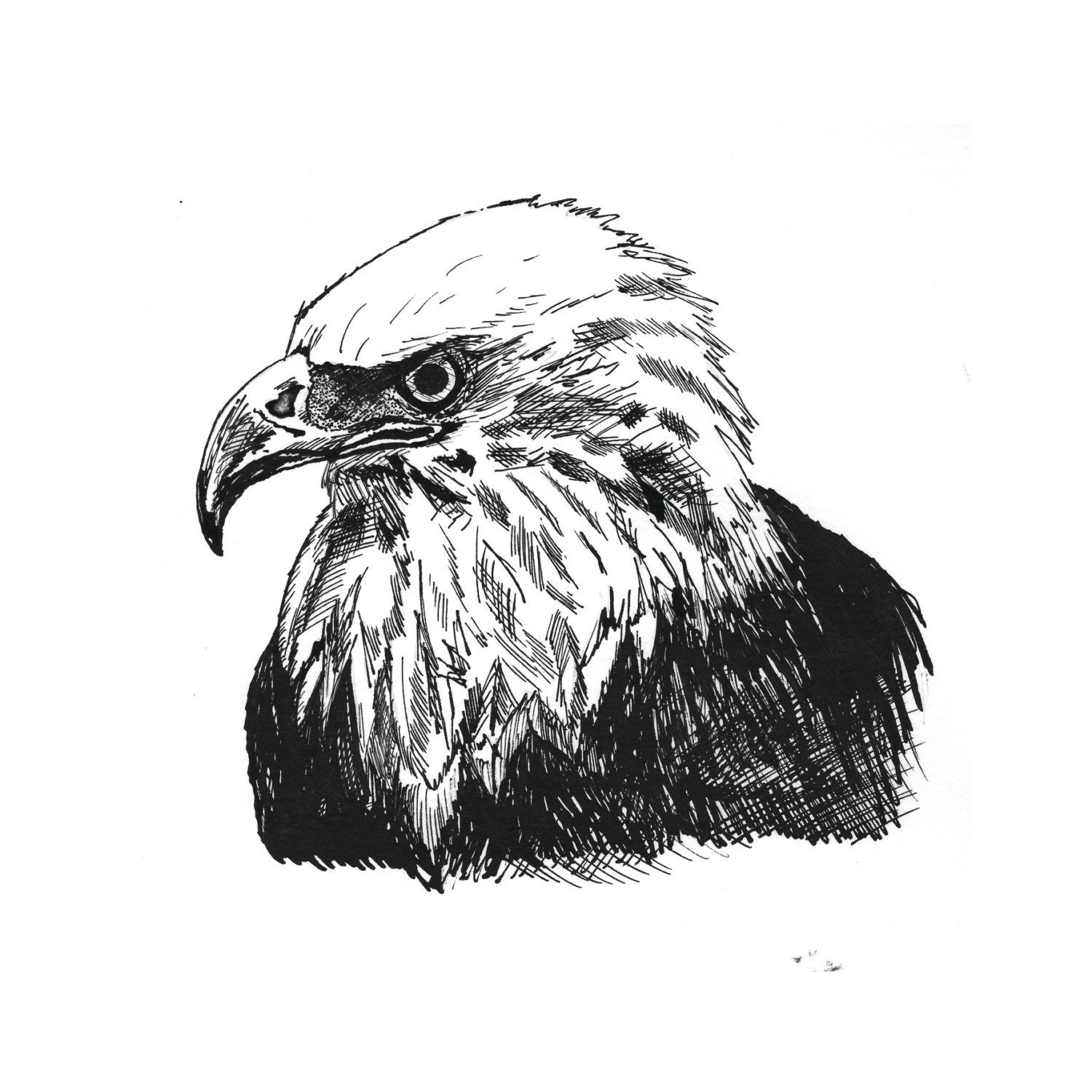 Eagle calligraphy ink drawing by madebyflorry on Etsy
