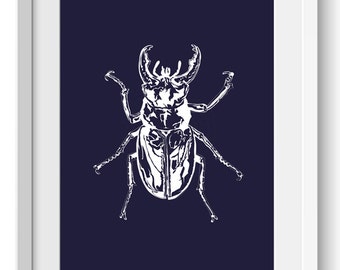 Beetle print | Etsy