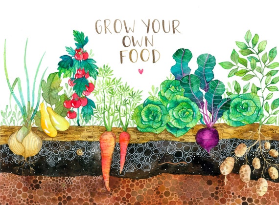 Grow Your Own Food 8x10 Print