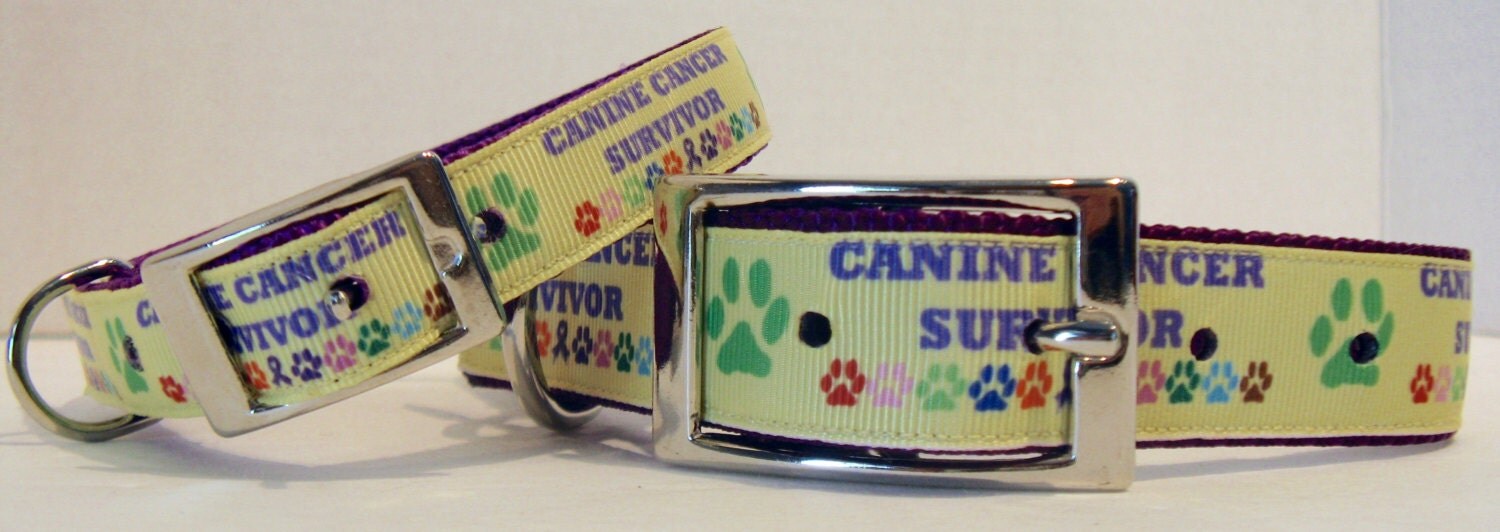 Canine Cancer Survivor Ribbon Dog Collar Canine Cancer