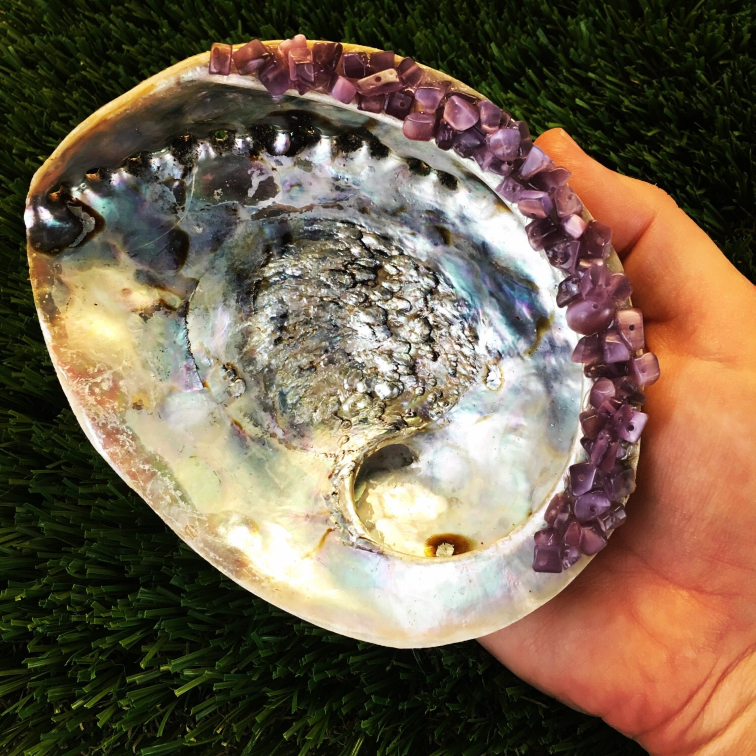 Large Abalone Shell Adorned with Amethyst Chips 5 6