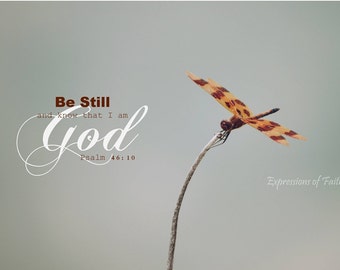 Dragonfly expression | Etsy