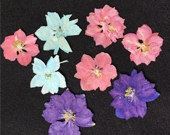 Mini dried flowers | Etsy