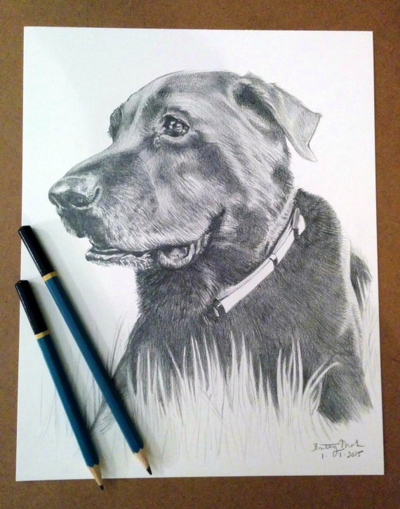 Dog Cat or other Pet CUSTOM hand-drawn Ink Portrait Made