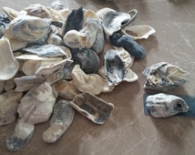 Popular items for sea shell wreath on Etsy