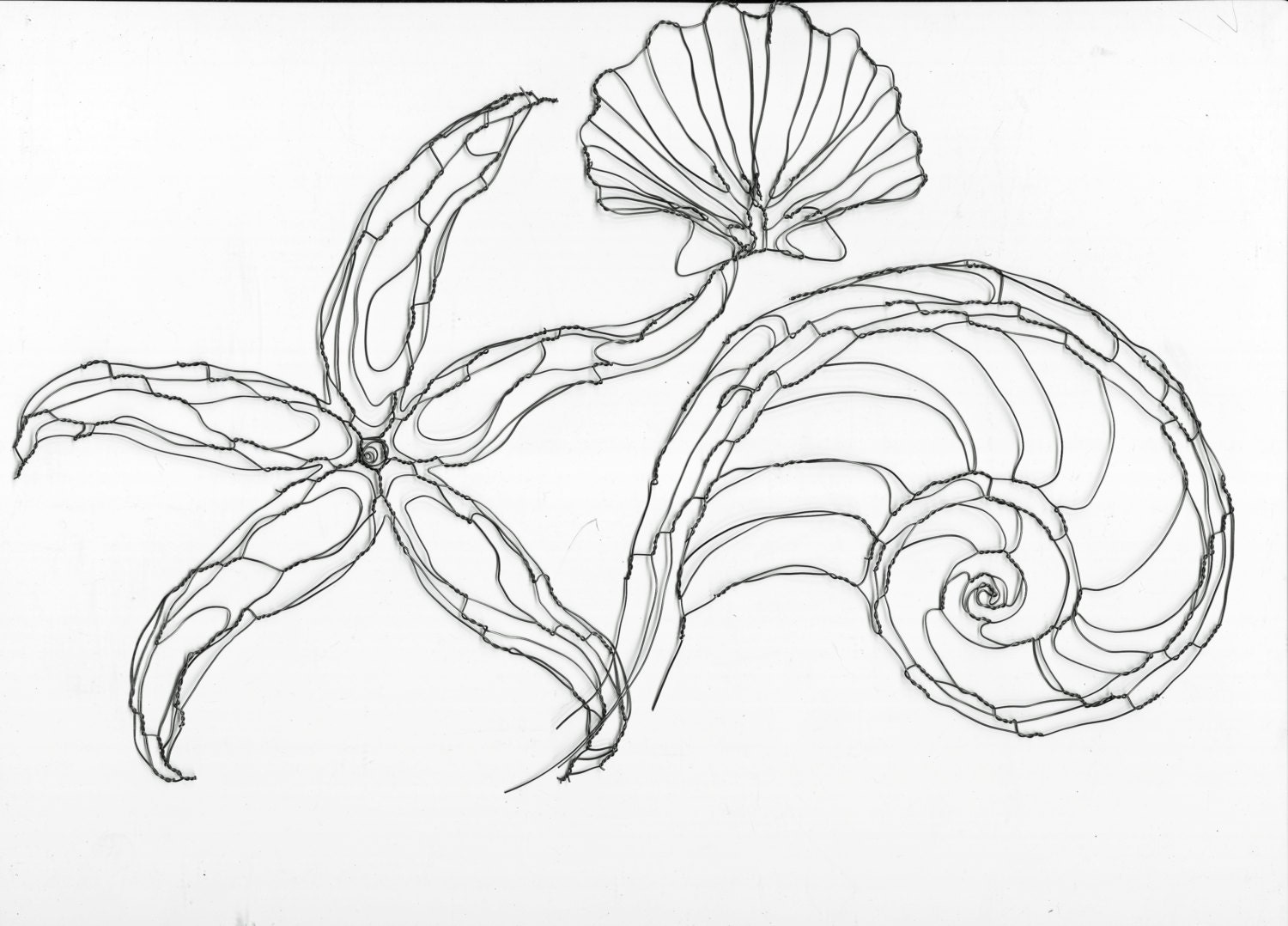 Set of 3 Sea Shell Wire Sculptures by Elizabeth Berrien