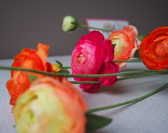 Pink ranunculus | Etsy