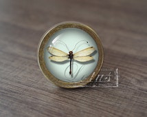 Unique insect drawer knobs related items | Etsy