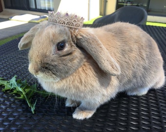 Rabbit and crown | Etsy